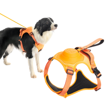 ComfyWalk Harness & Leash
