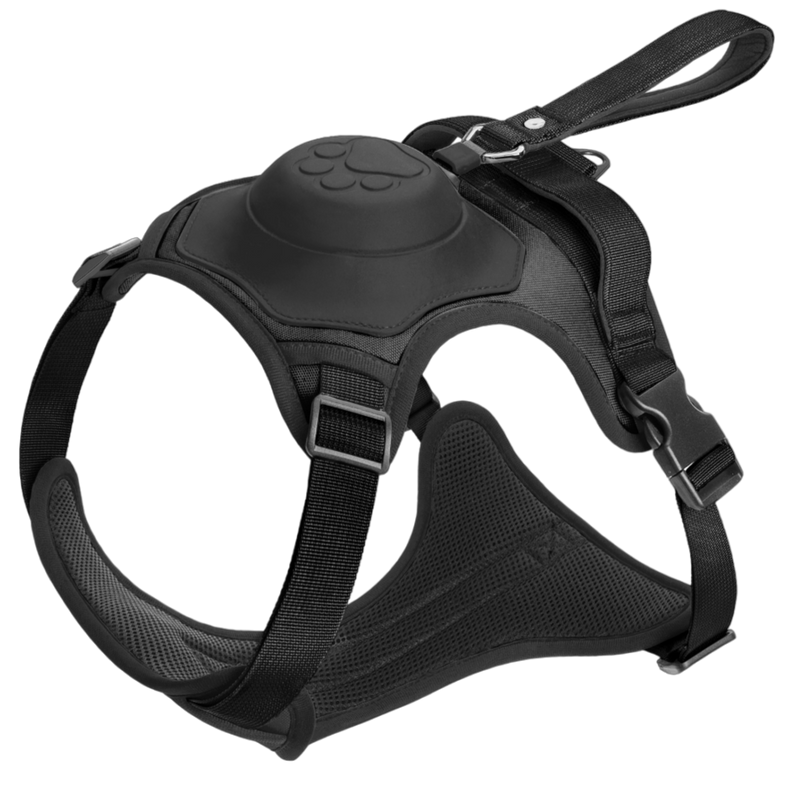 ComfyWalk Harness & Leash